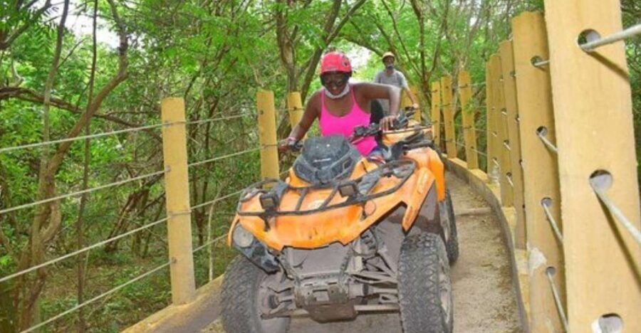 Turtle Snorkel, ATV, Zipline & Cenote: Full-Day Adventure - Authentic Experiences and Practical Insights