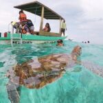 Turtle Swim, Lunch and Underground Cenote Private Tour - Detailed Breakdown of the Itinerary