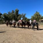 Tuscon: Rancho Cerros Horseback Riding Tout with Great Views - Authentic Traveler Perspectives
