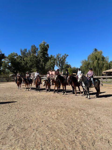 Tuscon: Rancho Cerros Horseback Riding Tout with Great Views - Authentic Traveler Perspectives