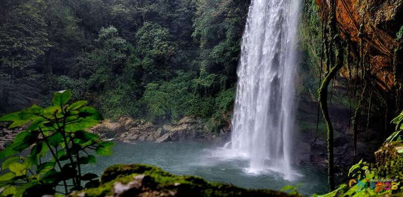 Tuxtla Gutierrez: Agua Azul, Misol Ha & Palenque Experience - The Practical Details