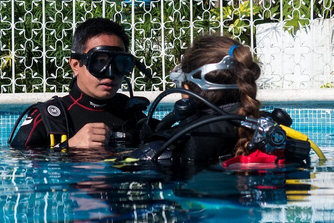 Two reef discovery dives with professional instructor (no experience necessary) - What the Reviews Tell Us
