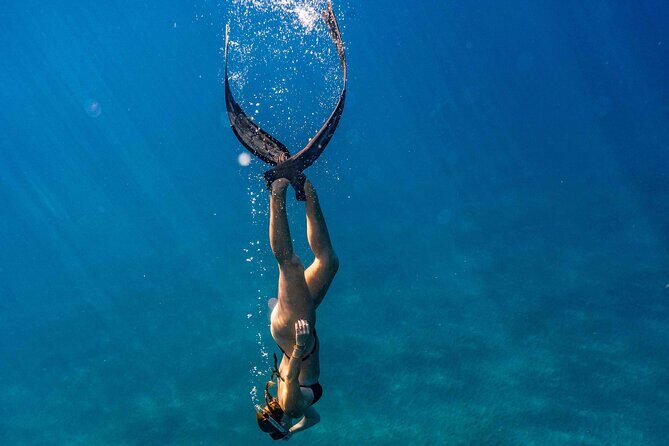 Two Site Snorkeling Adventure featuring the Molokini Crater - Marine Encounters You Might See