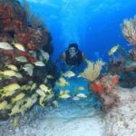 Two Tanks Scuba Diving for Beginners in Cancun - Why This Tour Offers Great Value