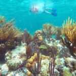 Ultimate 5x1 Combo with ATV, Ziplines, Cenote & Reef Snorkeling - What Makes This Tour Stand Out?