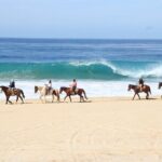 Ultimate Cabo Adventure UTV Horseback and Sky Bike Combo - The UTV Experience: Power Meets Scenery