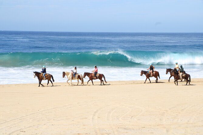 Ultimate Cabo Adventure UTV Horseback and Sky Bike Combo - The UTV Experience: Power Meets Scenery