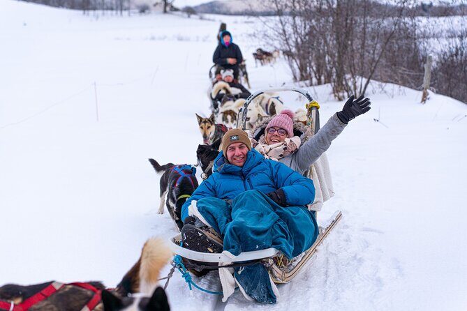 Ultimate Dog Sledding Tour - Day trip from Ottawa & Gatineau - Practical Details