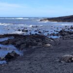 Ultimate National Park Tour from Waikoloa - Authentic Insights from Reviews
