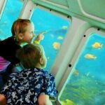 Undersea Expedition: Catalina Island Tour - Breaking Down the Itinerary