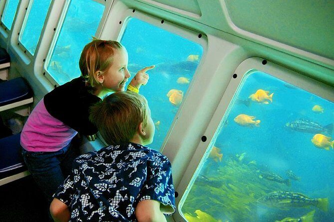 Undersea Expedition: Catalina Island Tour - Breaking Down the Itinerary