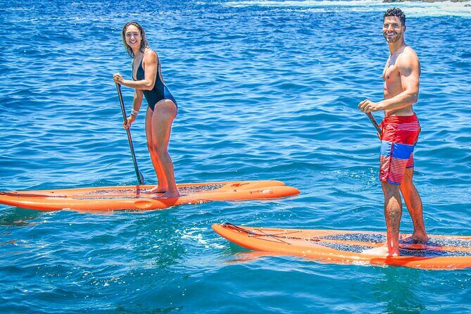 Underwater Wonders Snorkeling Adventure - The All-Inclusive Element and Additional Costs
