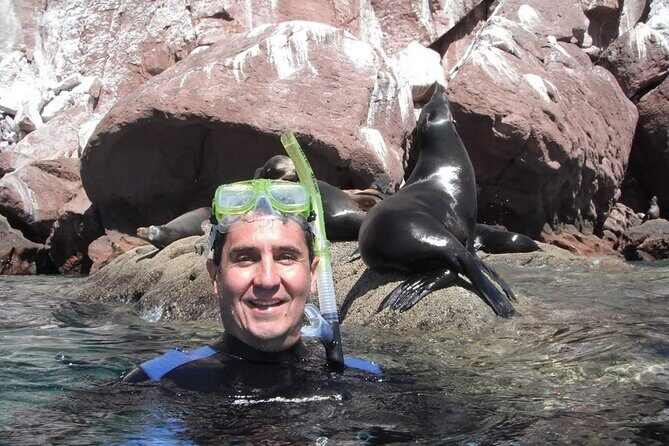 unforgettable snorkeling activity in The Sea of Cortes - Authentic Experiences From Fellow Travelers