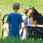 Unique Amish Immersion Experience - Who Will Benefit Most?