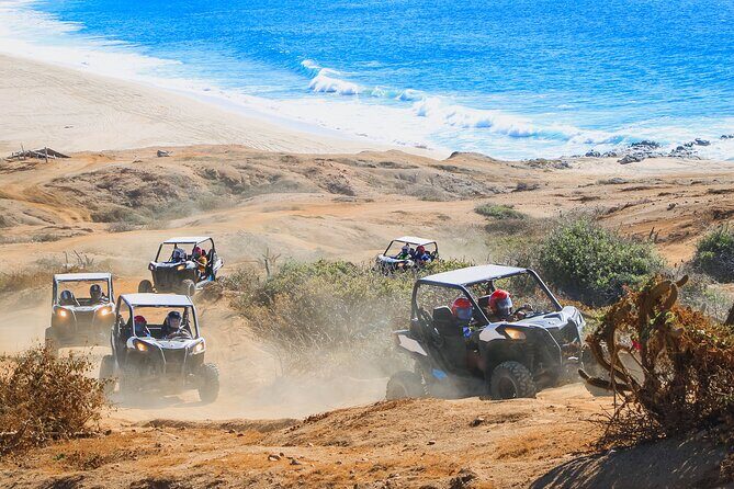 UTV Adventure + Free Camel Ride & Sky Bikes - A Deep Dive into the Experience