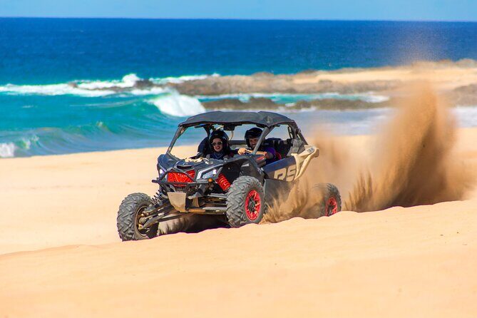 UTV and Camel Ride in the Cabo Desert - Authentic Experiences and Honest Feedback from Travelers