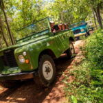 Uxmal: Vintage Land Rover Expedition to Uxmal Cenotes - The Cenotes: Natural Wonders and Refreshing Swimmers’ Paradise