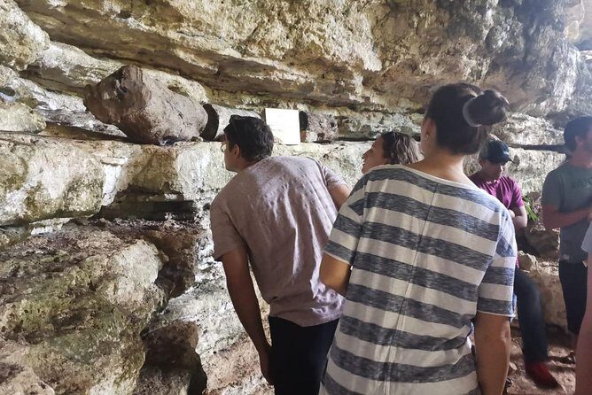 Valladolid Mayan Bees Tour with Lunch or breakfast and Honey Tasting - What to Expect from the Tour