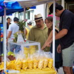 Vallarta: 3.5-Hour Pitillal Food Tour - Why We Think This Tour Is a Win