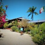 Vallarta Botanical Garden and Tequila Tasting from Puerto Vallarta - Exploring the Itinerary in Depth
