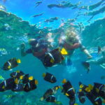 Vallarta: Yelapa Waterfall & Majahuitas Snorkel Adventure - Who Will Love This Tour?