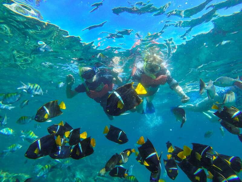 Vallarta: Yelapa Waterfall & Majahuitas Snorkel Adventure - Who Will Love This Tour?