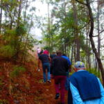 Valle de Bravo: Forest Hiking Adventure - Price and Value