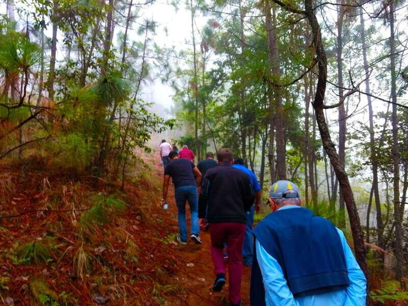 Valle de Bravo: Forest Hiking Adventure - Price and Value