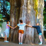 Valle de Bravo: Half-Day Guided City Tour by Van - Exploring Valle de Bravo: What You Can Expect