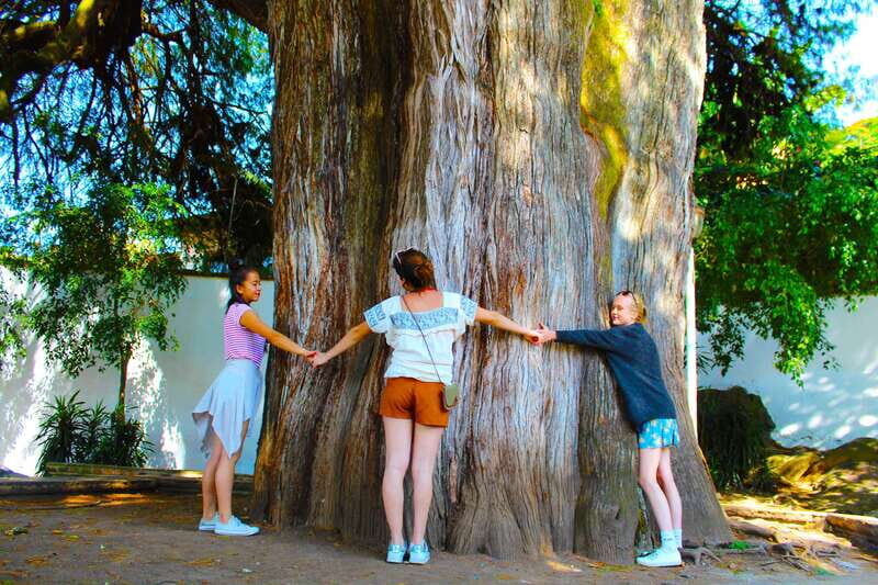Valle de Bravo: Half-Day Guided City Tour by Van - Exploring Valle de Bravo: What You Can Expect