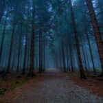 Valle de Bravo: Magical night at the forest - The Sum Up: Who Will Love This Tour?