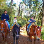Valle de Bravo: Waterfall Riding Tour - The Experience: What to Expect