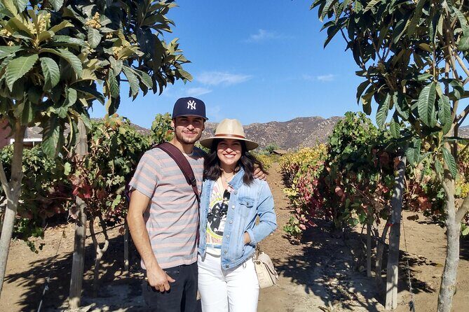 "Valle de Guadalupe", Live, Enjoy and Meet the Golden Valley - The Sum Up