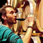Valle de Guadalupe: Wine Tasting and Wagon Tour - Practical Details: What You Need to Know