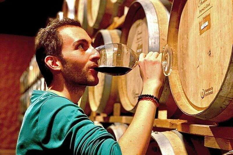 Valle de Guadalupe: Wine Tasting and Wagon Tour - Practical Details: What You Need to Know