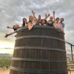 Valle de Guadalupe Wine Tasting Tour - What Makes This Tour Stand Out
