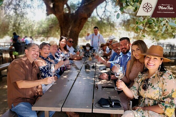 Valle de Guadalupe winery and brewery tours - Why Choose This Tour? A Deep Dive