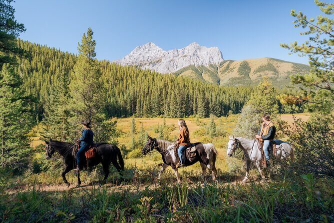 Valley Vista 1.5 Hour Horseback Trail Ride in Kananaskis - Who Will Love This Ride?
