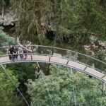 Vancouver: Capilano Bridge, Cleveland Dam & Lynn Canyon Tour - What Makes This Tour Stand Out?
