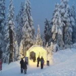 Vancouver Capilano Canyon light&peak of Christmas in Grouse - Final Thoughts: Is This Tour Right for You?