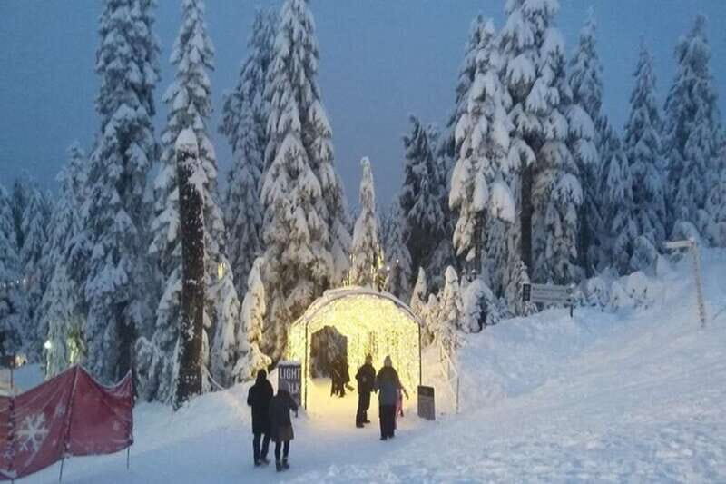 Vancouver Capilano Canyon light&peak of Christmas in Grouse - Final Thoughts: Is This Tour Right for You?