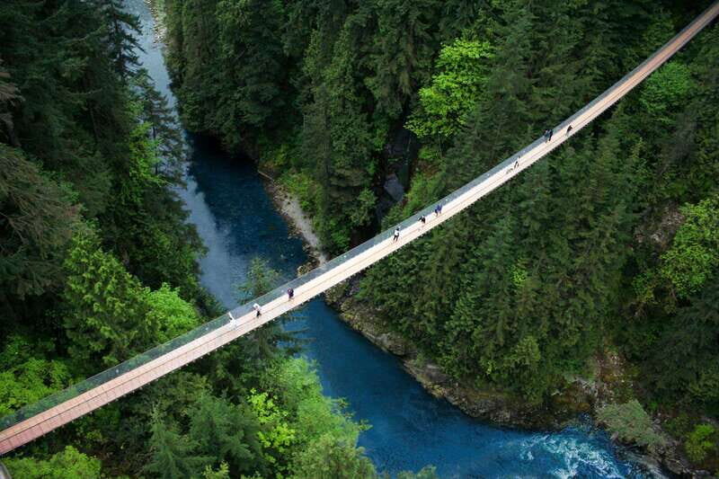 Vancouver: Capilano Suspension Bridge Park Ticket - What Youll See and Do
