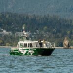 Vancouver: Catamaran Whale Watching Tour, Granville Island - Who Will Love This Tour?