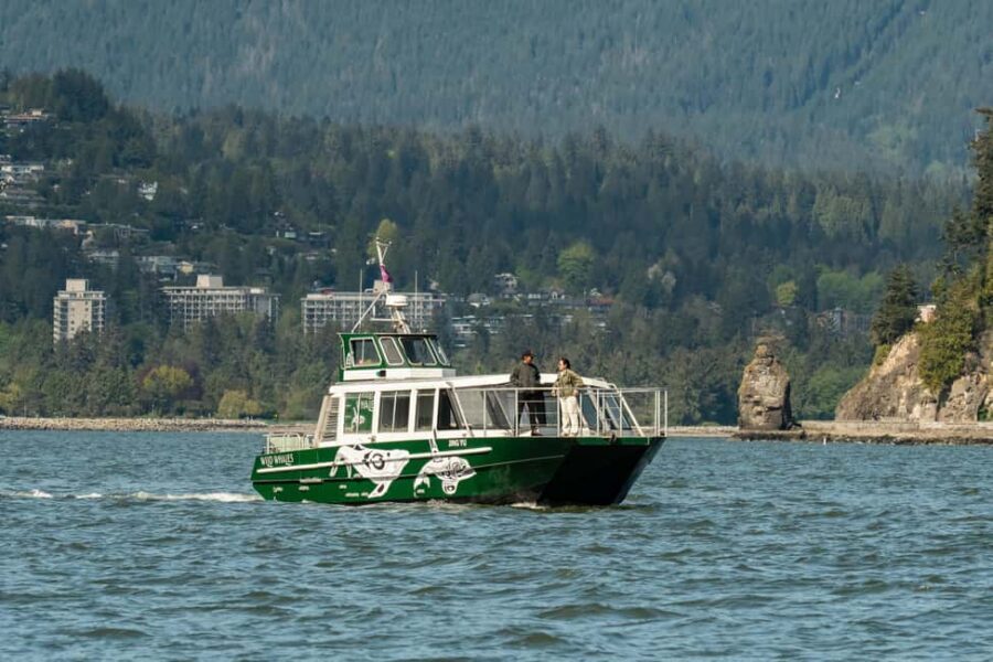 Vancouver: Catamaran Whale Watching Tour, Granville Island - Who Will Love This Tour?
