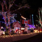 Vancouver Christmas Light Tour private - Why Vancouver Shines During the Holidays