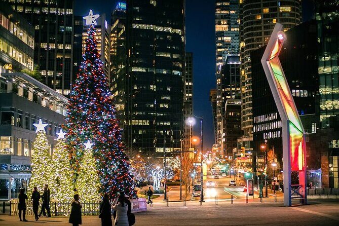 Vancouver Christmas Light Tour private - Who will love this tour?