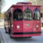 Vancouver: Christmas Lights Karaoke Trolley Tour - Who Should Consider This Tour?