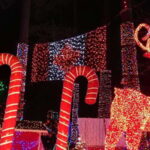 Vancouver: Christmas Tour with Light Festival Entrance - What’s Included and What’s Not