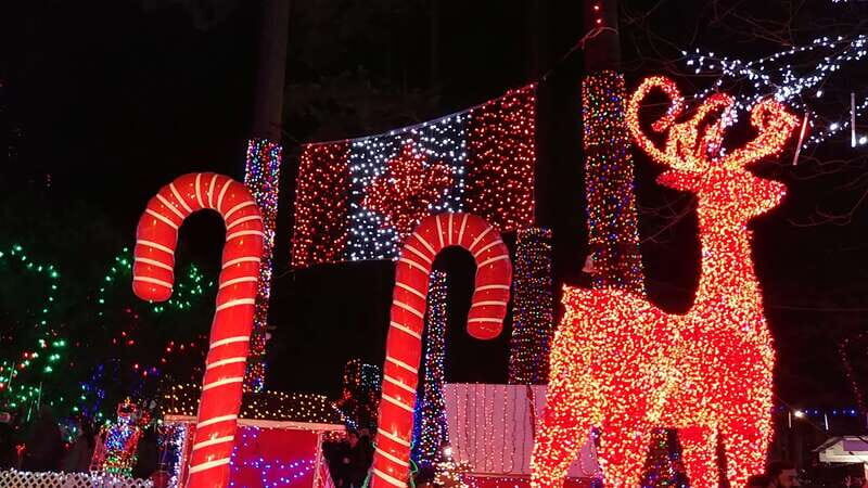 Vancouver: Christmas Tour with Light Festival Entrance - What’s Included and What’s Not