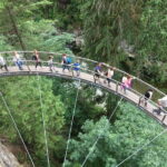 Vancouver: City and Mountain Adventure with Grouse Mountain - Who Should Consider This Tour?